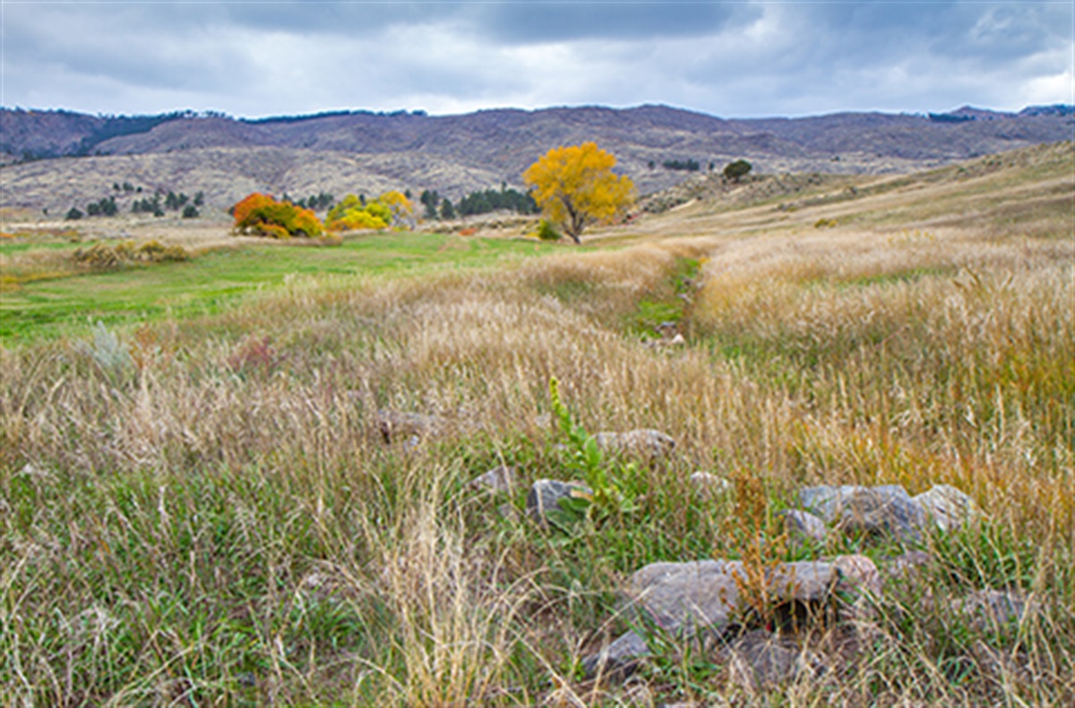 Natural Areas City of Fort Collins
