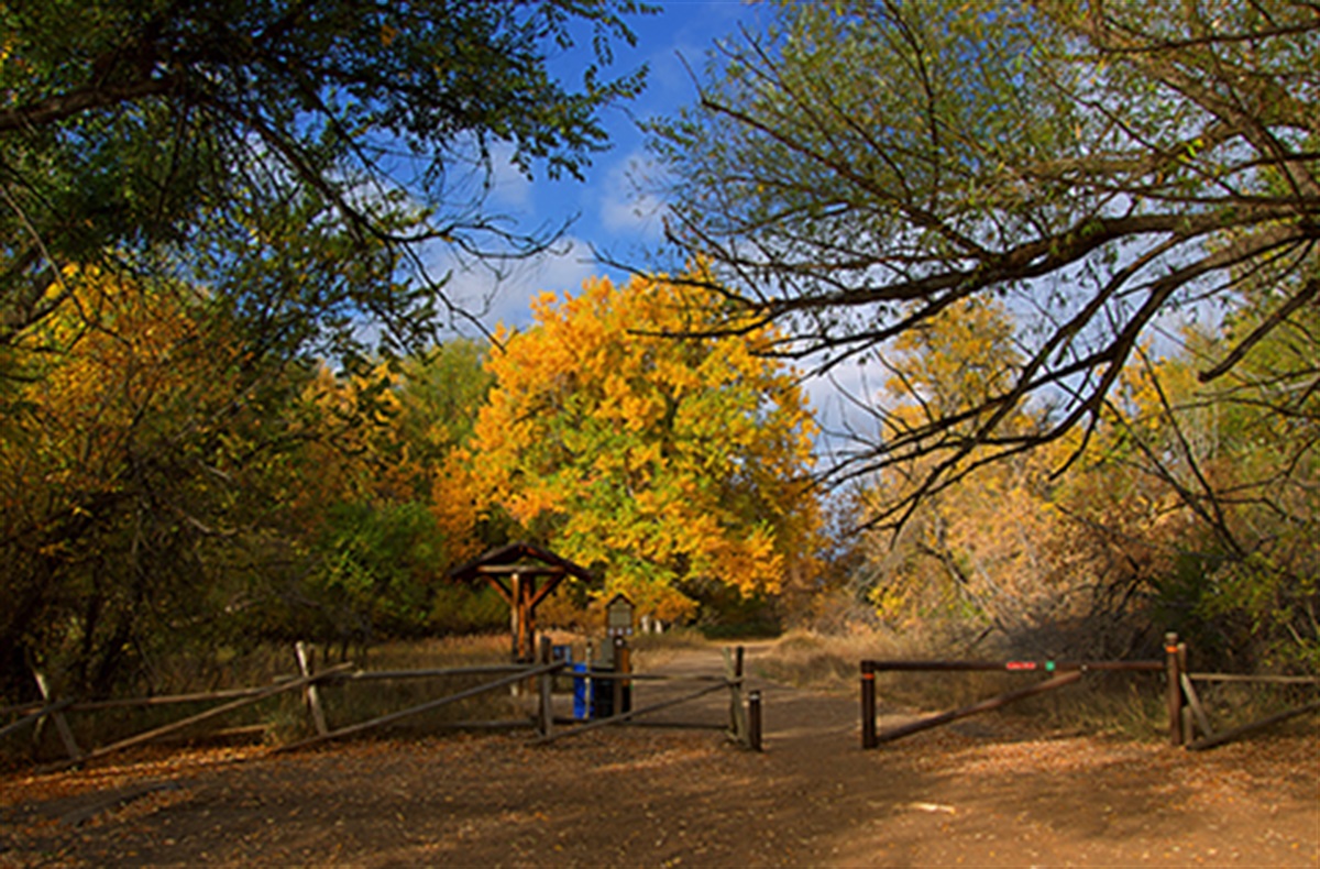 McMurry Natural Area City of Fort Collins